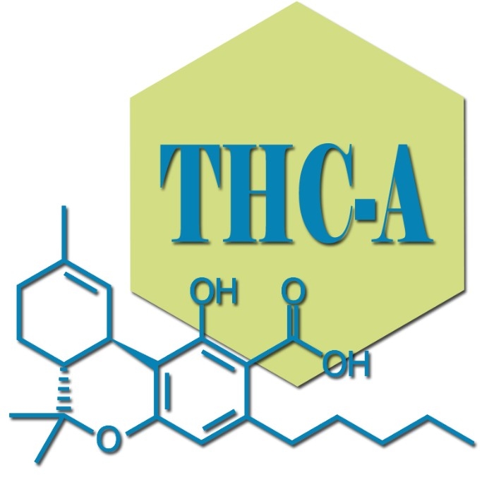 What Is THCA and What Are the Benefits of This Cannabinoid | MCDSA