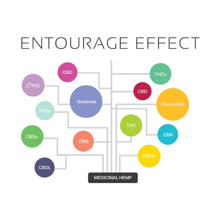 The Entourage Effect | MCDSA